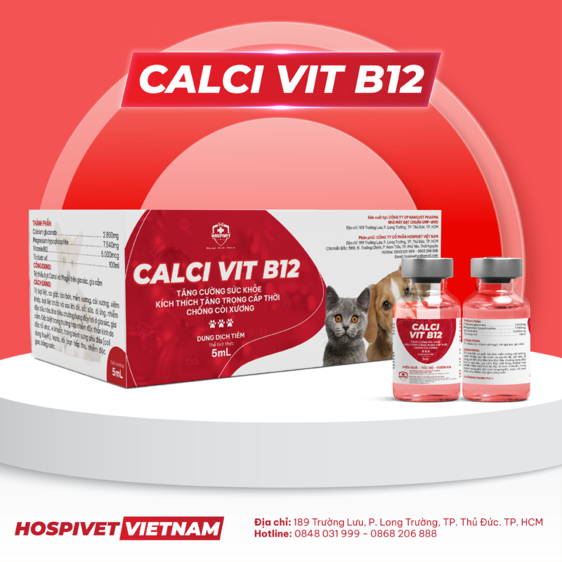 CALCI VIT B12 - Hospivet